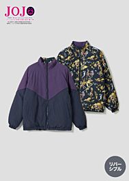 Aitai☆Kuji Jojo's Bizarre Adventure graniph Reversible Blouson Jacket ...